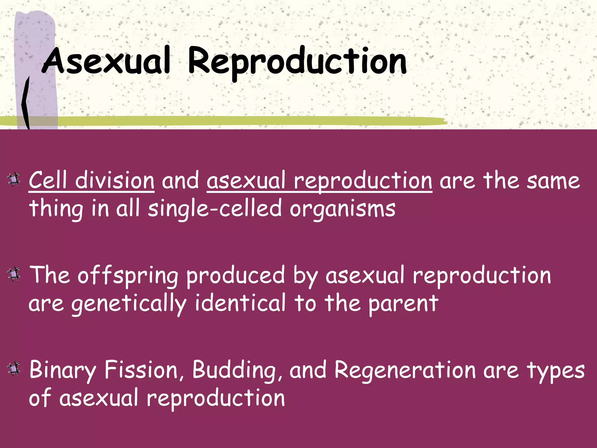 Asexual vs Sexual Reproduction.ppt