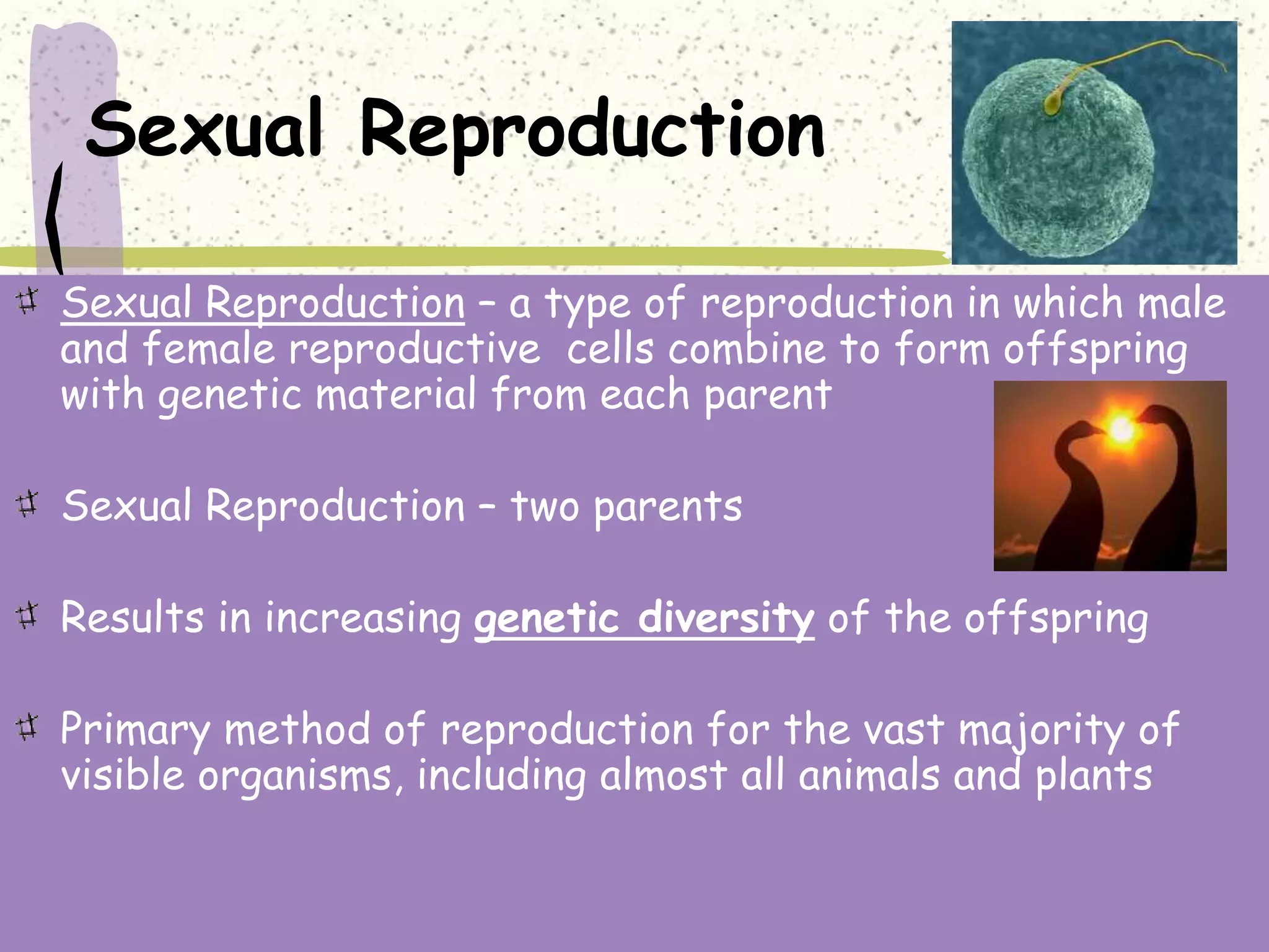 Asexual vs Sexual Reproduction.ppt