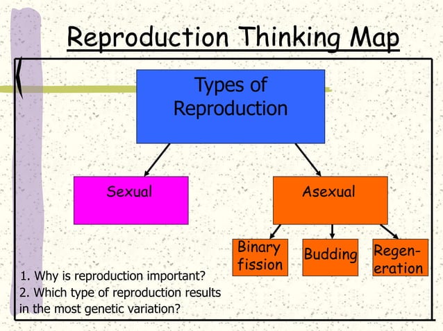 Asexual vs Sexual Reproduction.ppt