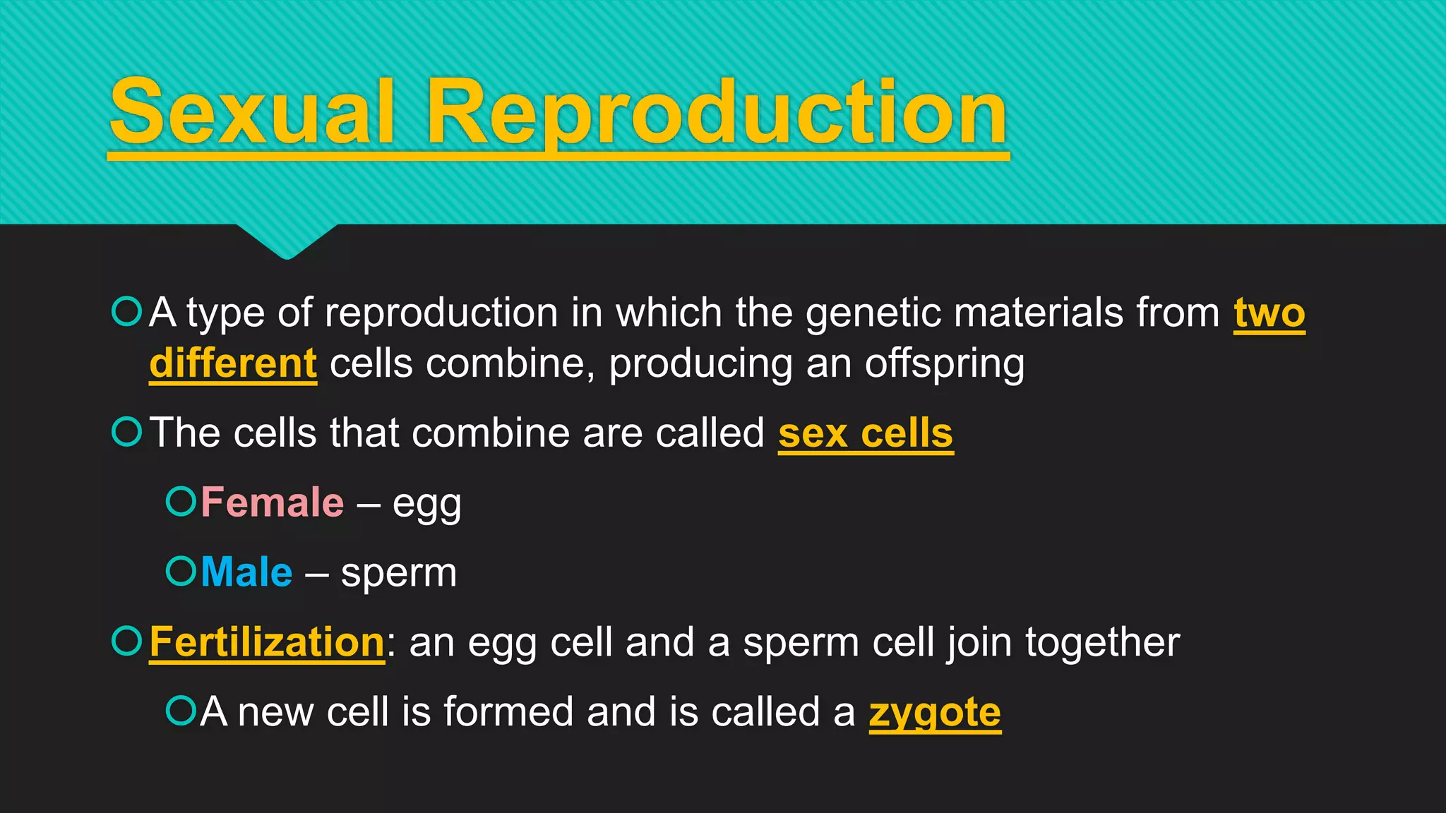 Asexual vs Sexual Reproduction.pptx