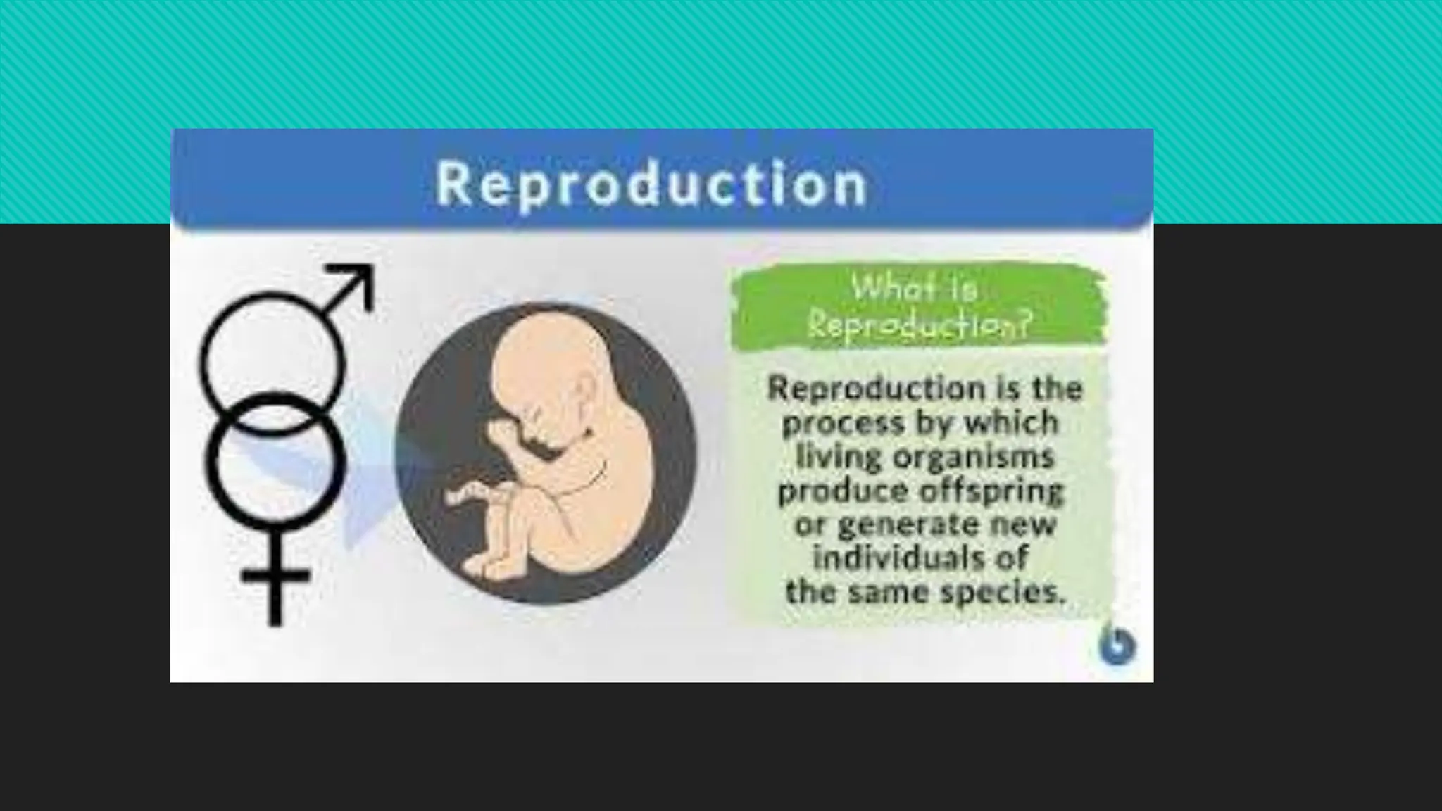 Asexual vs Sexual Reproduction nfdfndnff | PPT