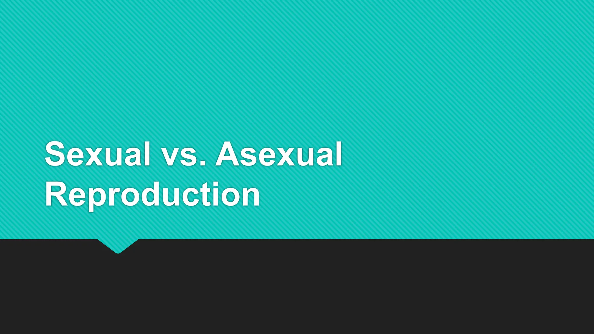 Asexual vs Sexual Reproduction nfdfndnff | PPTX