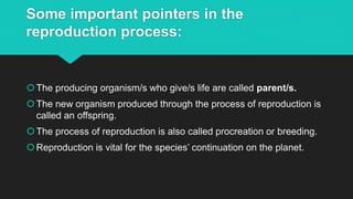 Asexual vs Sexual Reproduction nfdfndnff | PPTX