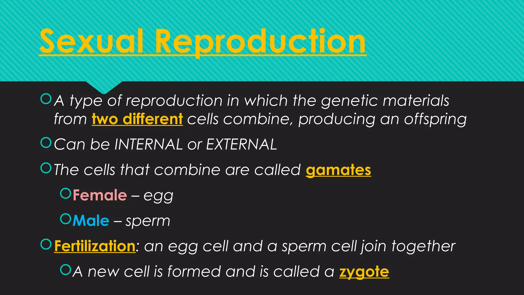 Asexual vs sexual reproduction2016 | PPT