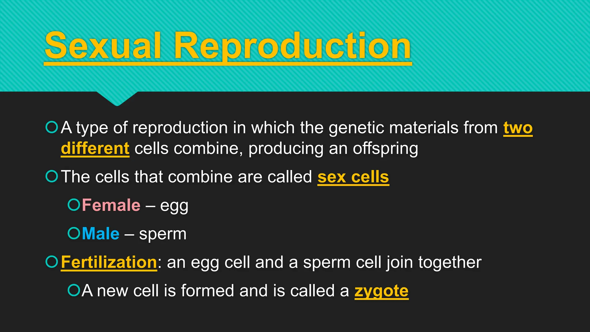 Asexual vs Sexual Reproduction LESSON POWERPOINT | PPTX | Infertility ...