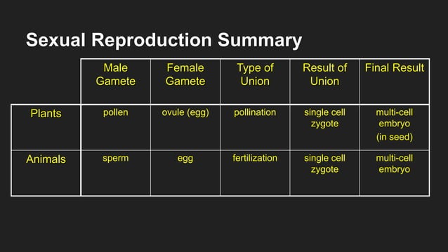 Asexual vs Sexual Reproduction LESSON POWERPOINT | PPT