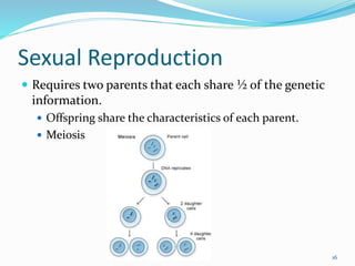 Asexual vs Sexual Reproduction PowerPoint.pptx
