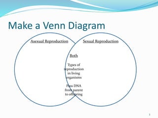 Asexual vs Sexual Reproduction PowerPoint.pptx