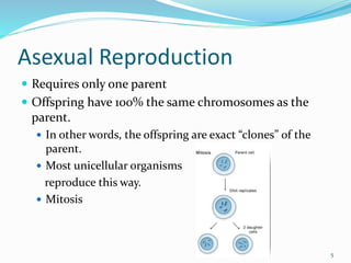 Asexual vs Sexual Reproduction PowerPoint.pptx