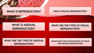 Asexual vs Sexual Reproduction PowerPoint.pptx