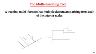 philogenetic tree | PPT