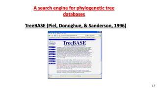philogenetic tree | PPT