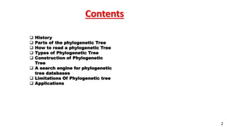 philogenetic tree | PPT