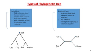 philogenetic tree | PPT