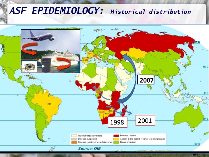 ASF global impact and control