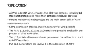 Asfarviridae- a brief description about virus | PPTX