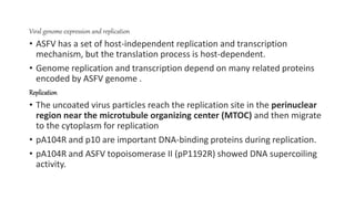 Asfarviridae- a brief description about virus | PPTX