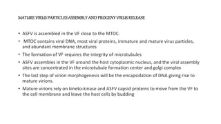 Asfarviridae- a brief description about virus | PPTX