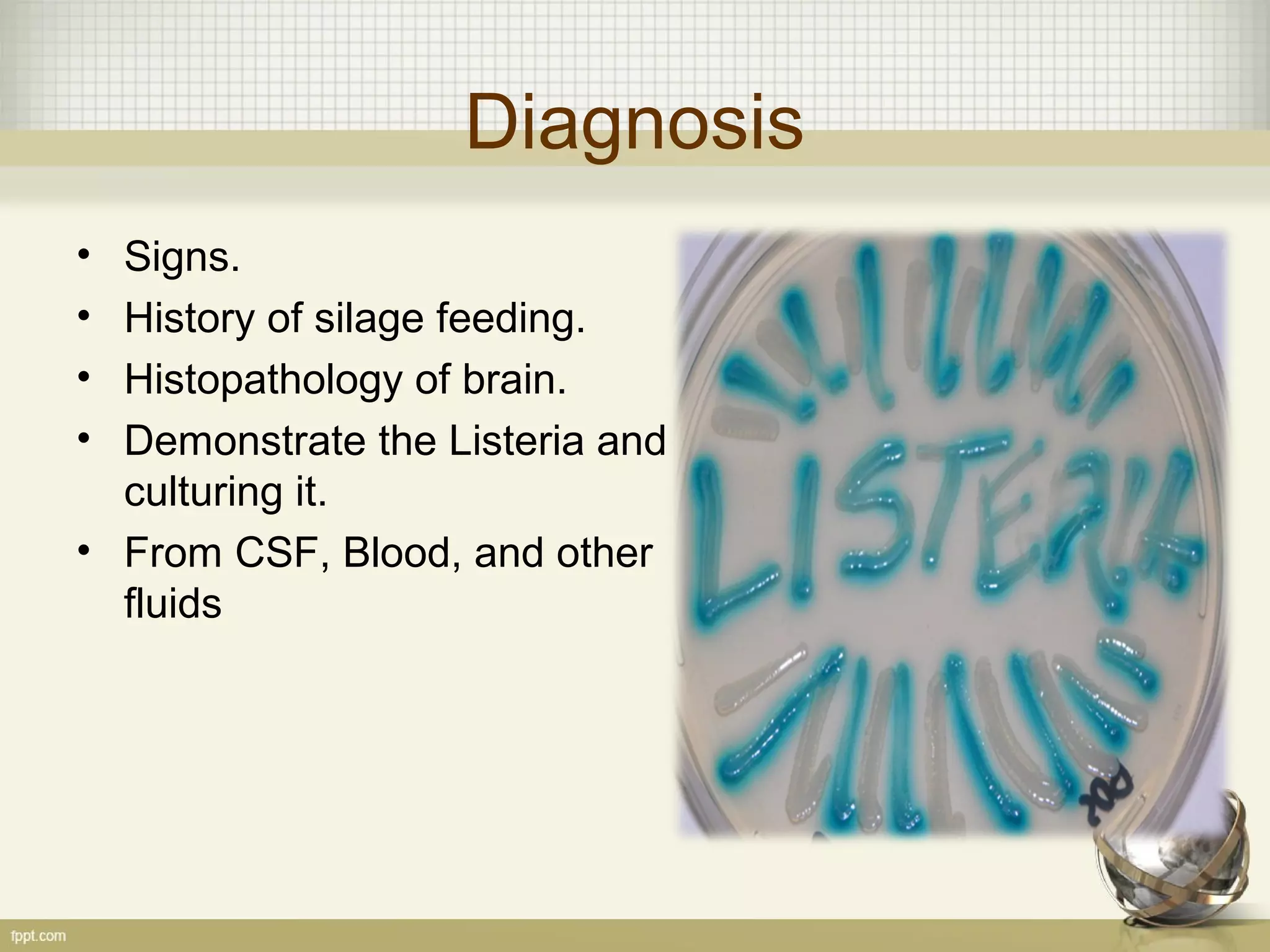 Listeriosis and Colibacillosis | PPT