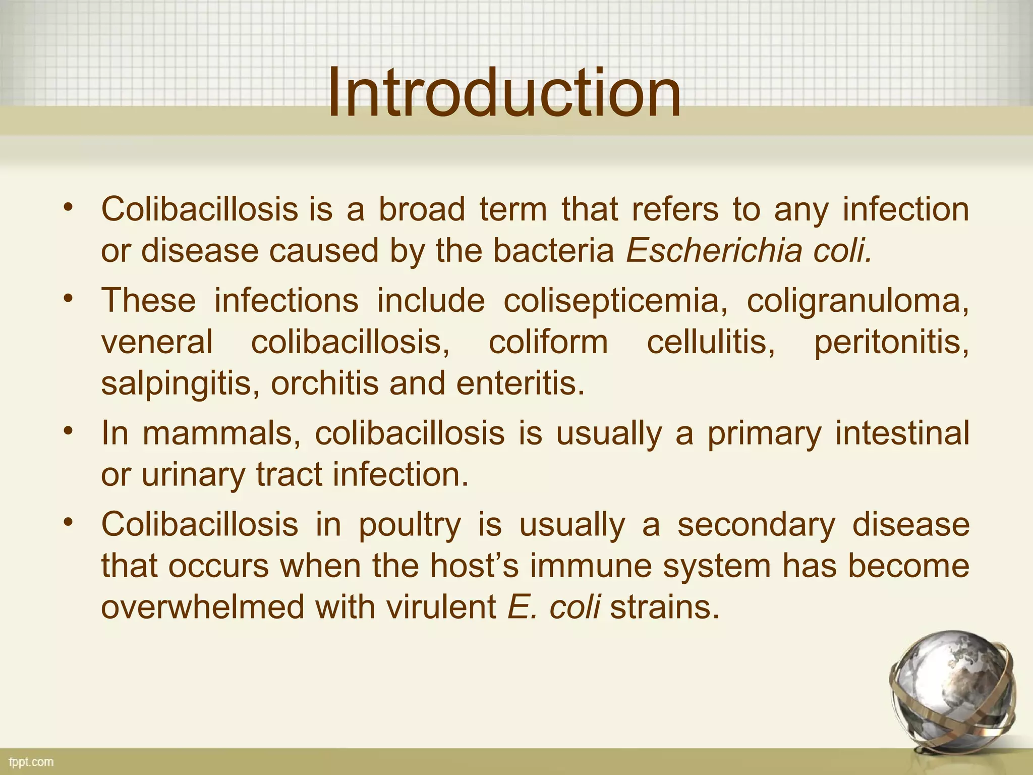 Listeriosis and Colibacillosis | PPT