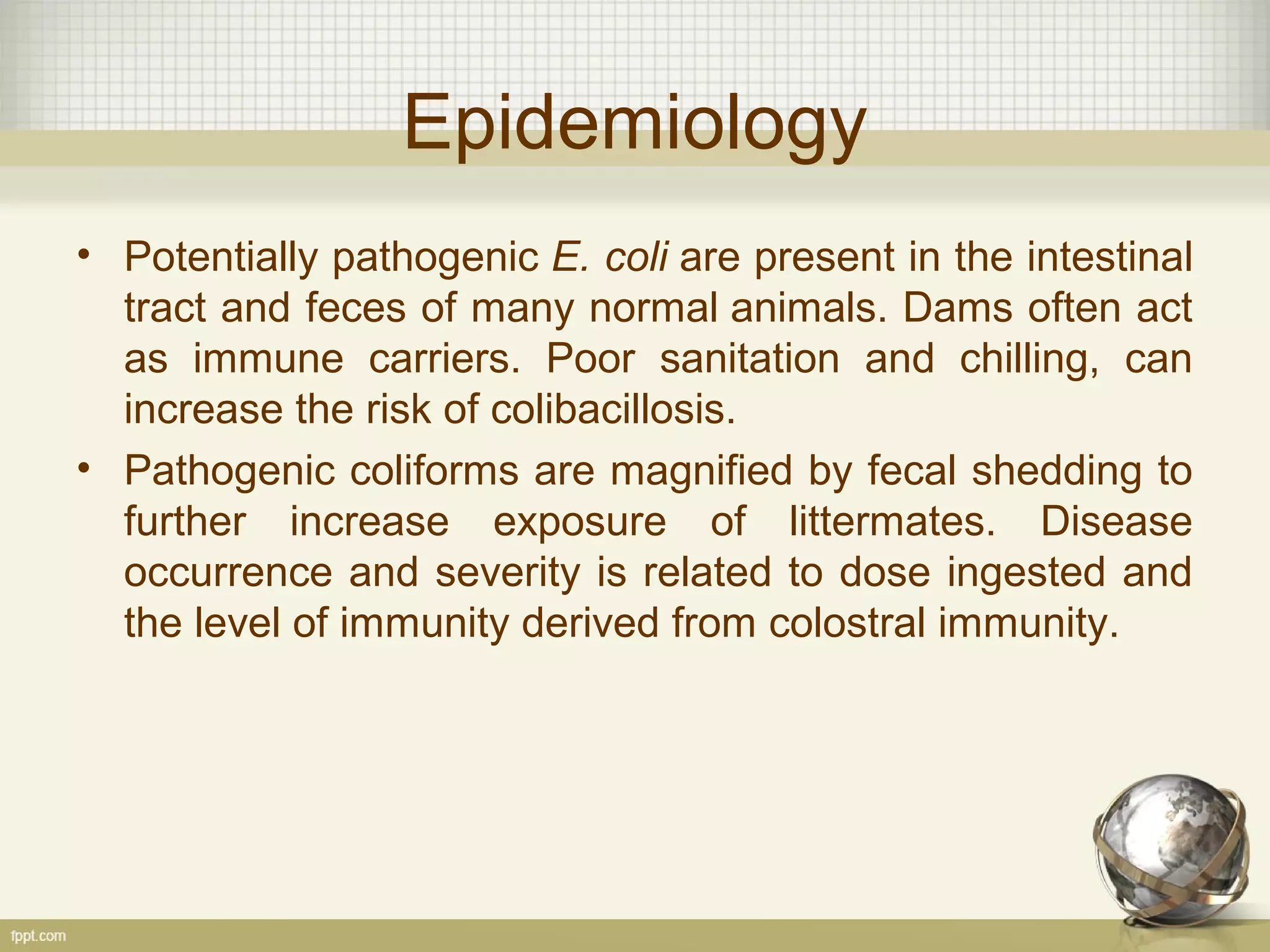 Listeriosis and Colibacillosis | PPT