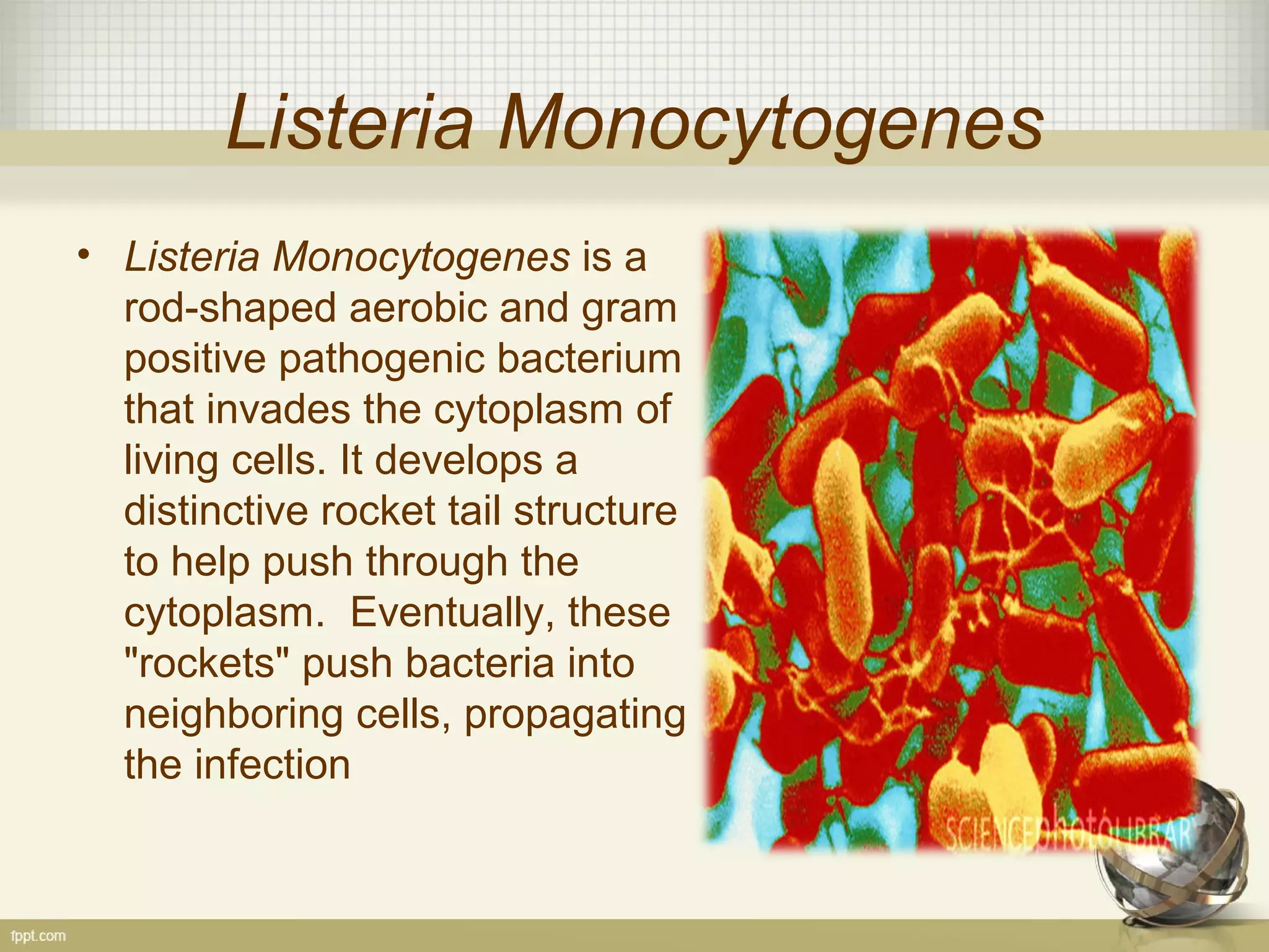Listeriosis and Colibacillosis | PPT