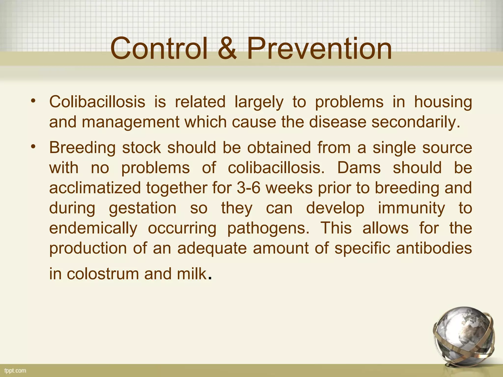 Listeriosis and Colibacillosis | PPT