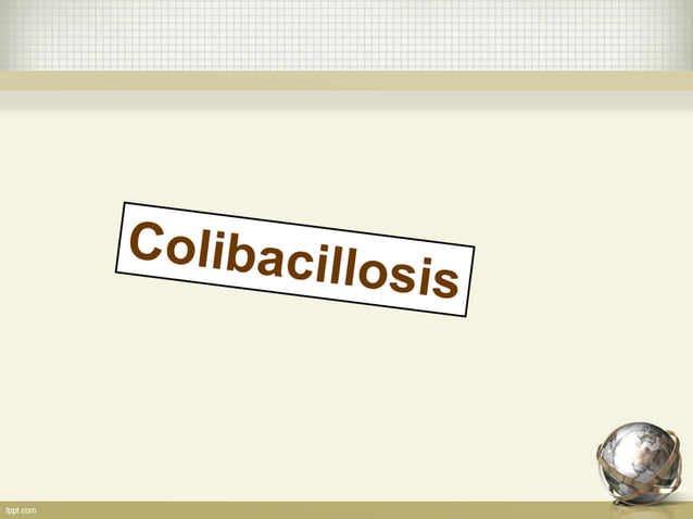 Listeriosis and Colibacillosis | PPT