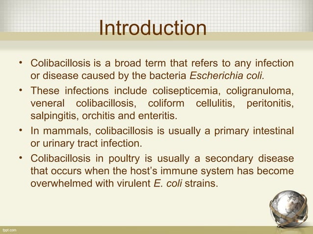 Listeriosis and Colibacillosis | PPT