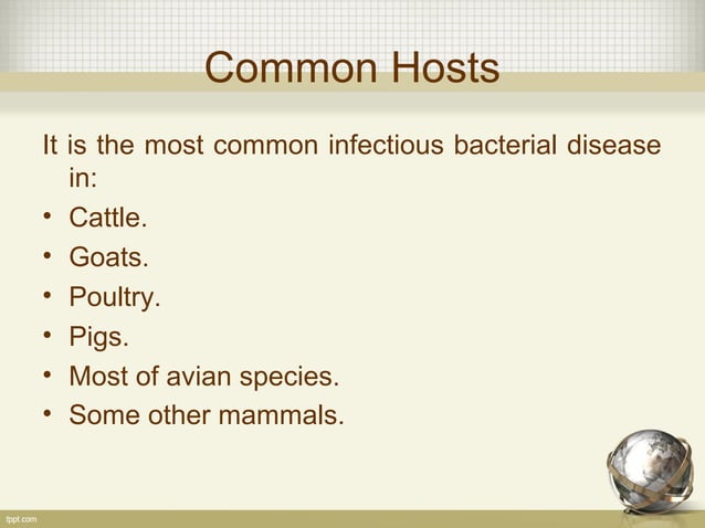 Listeriosis and Colibacillosis | PPT