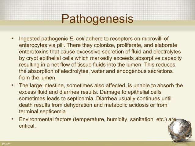 Listeriosis and Colibacillosis | PPT