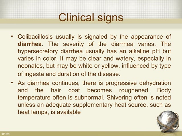 Listeriosis and Colibacillosis | PPT