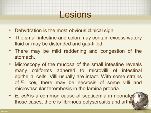Listeriosis and Colibacillosis | PPT