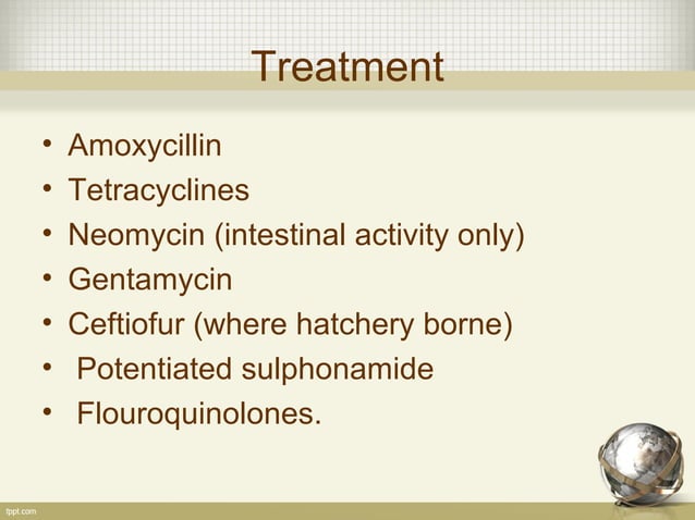 Listeriosis and Colibacillosis | PPT
