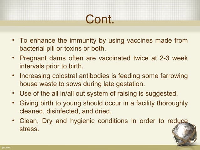 Listeriosis and Colibacillosis | PPT