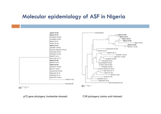 ASF in Africa: pathways to prevention and control | PDF