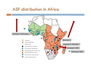 ASF in Africa: pathways to prevention and control | PDF