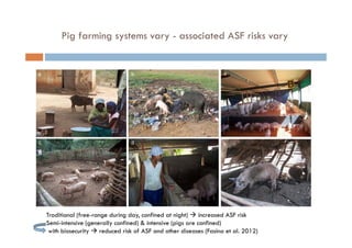 ASF in Africa: pathways to prevention and control | PDF