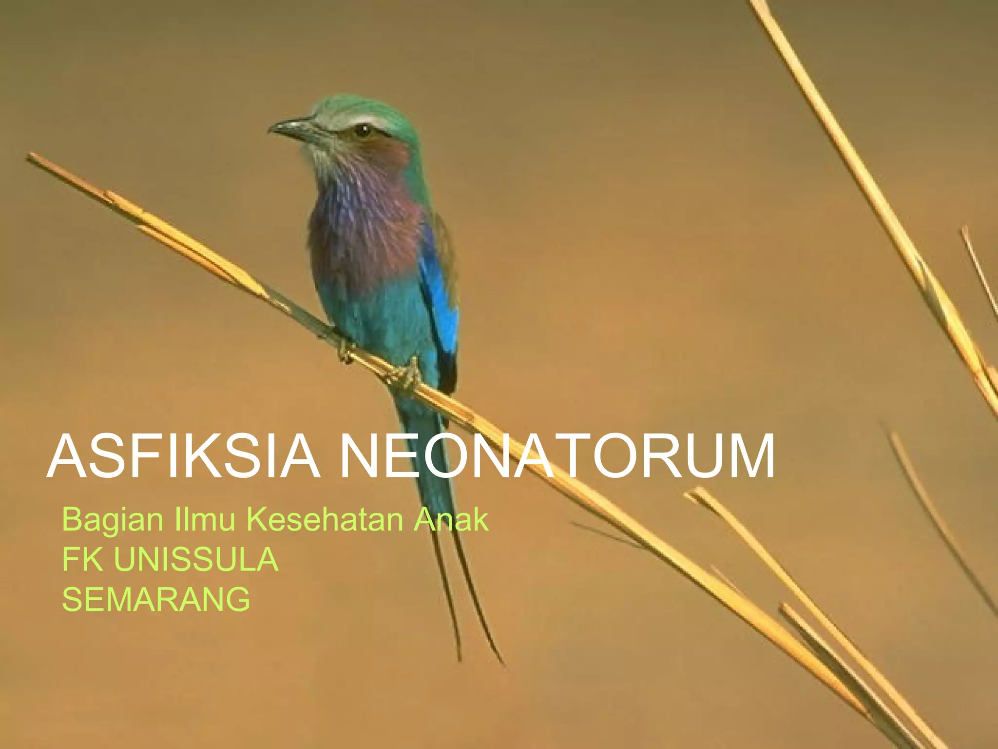 Asfiksia neonatorum rev 04 | PPT