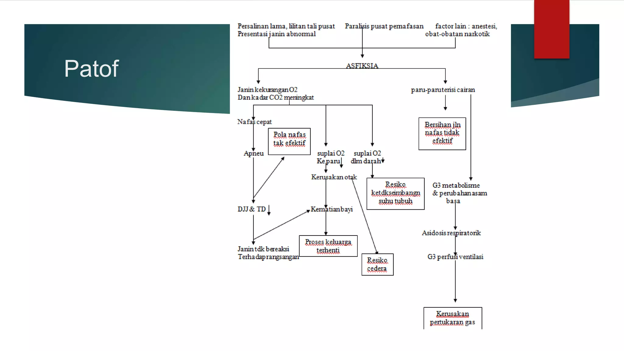 Asfiksia Neonatorum .pptx