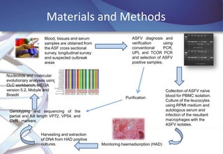 African Swine Fever (ASF) virus genomics and diagnostics | PDF