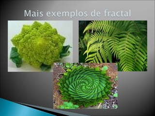 As Formas GeoméTricas Na Natureza | PPT