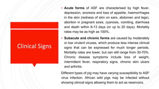 AFRICAN SWINE FEVER (ASF) PREVENTION AND CONTROL.pptx