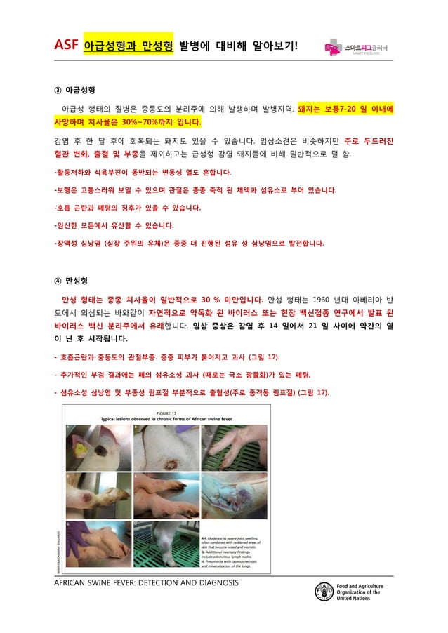 Asf subacute chronic smart clinic | PDF