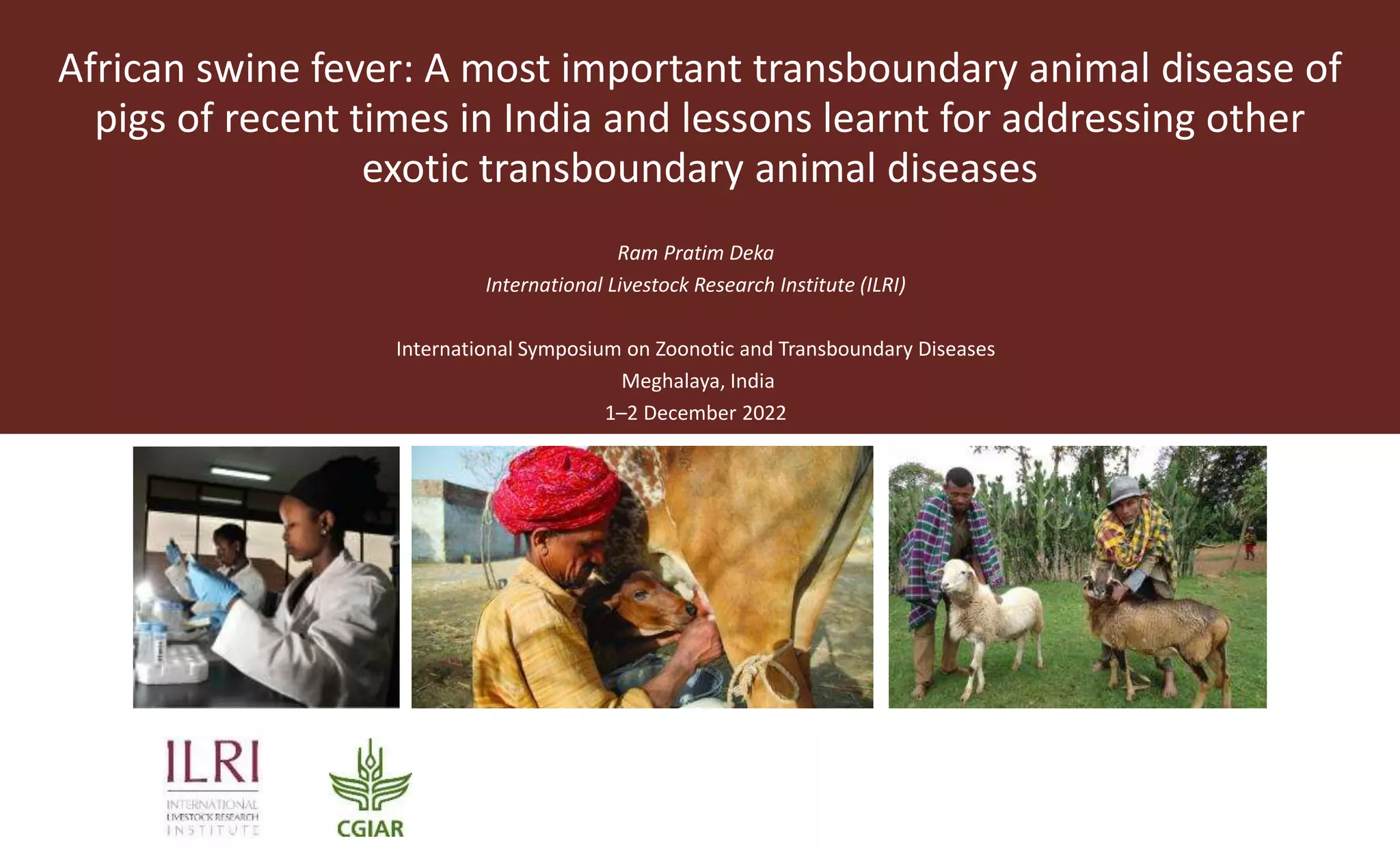 African swine fever: A most important transboundary animal disease of ...