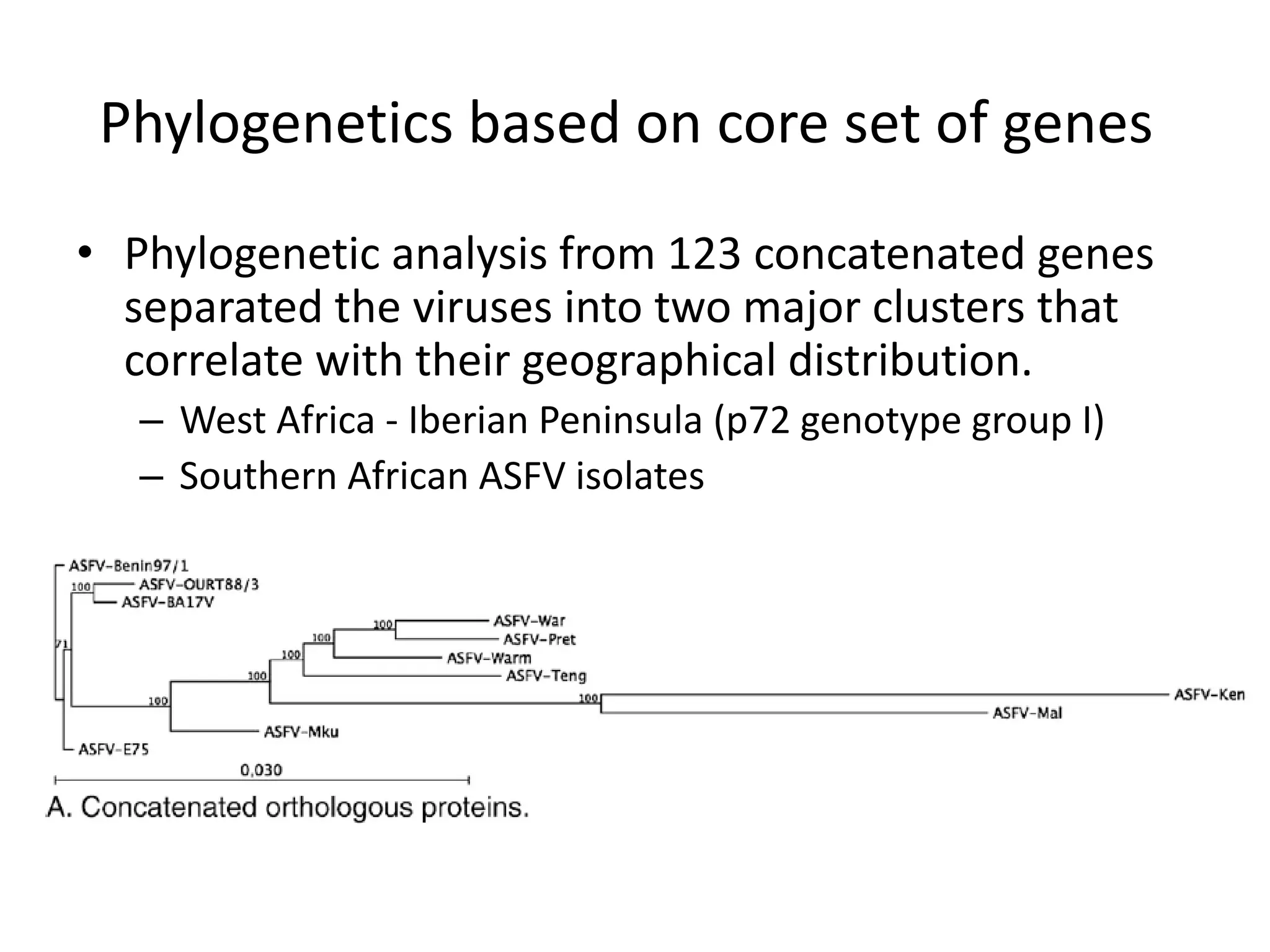 ASFV genome sequencing | PDF