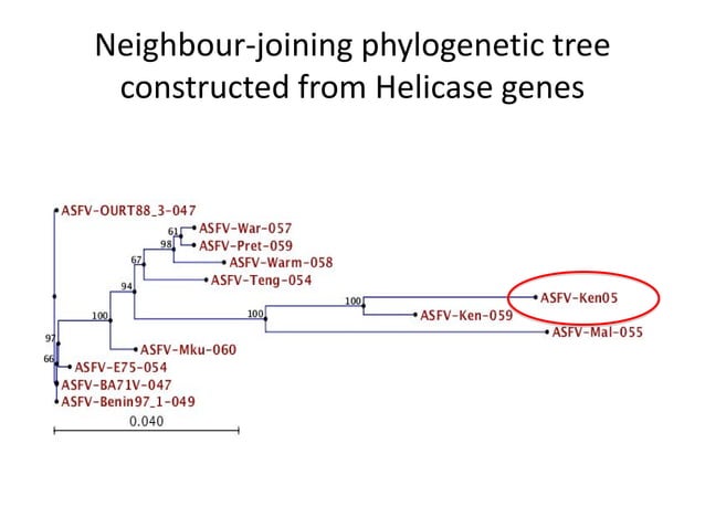 ASFV genome sequencing | PDF