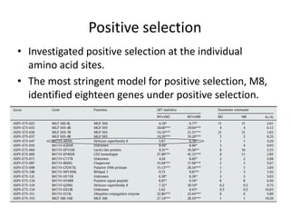 ASFV genome sequencing | PDF