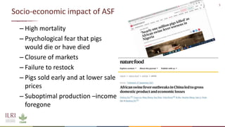 African swine fever epidemiology and control in smallholder pig systems ...