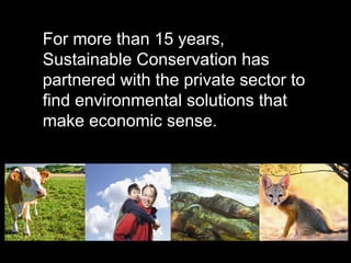 Sustainable Conservation | PPT